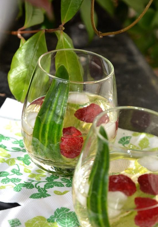 Que faire avec des framboises : +25 recettes savoureuses