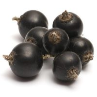 Tout savoir sur les Petits fruits et fruits rouges