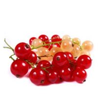 Tout ce qu’il faut savoir sur les fruits et légumes frais - Interfel