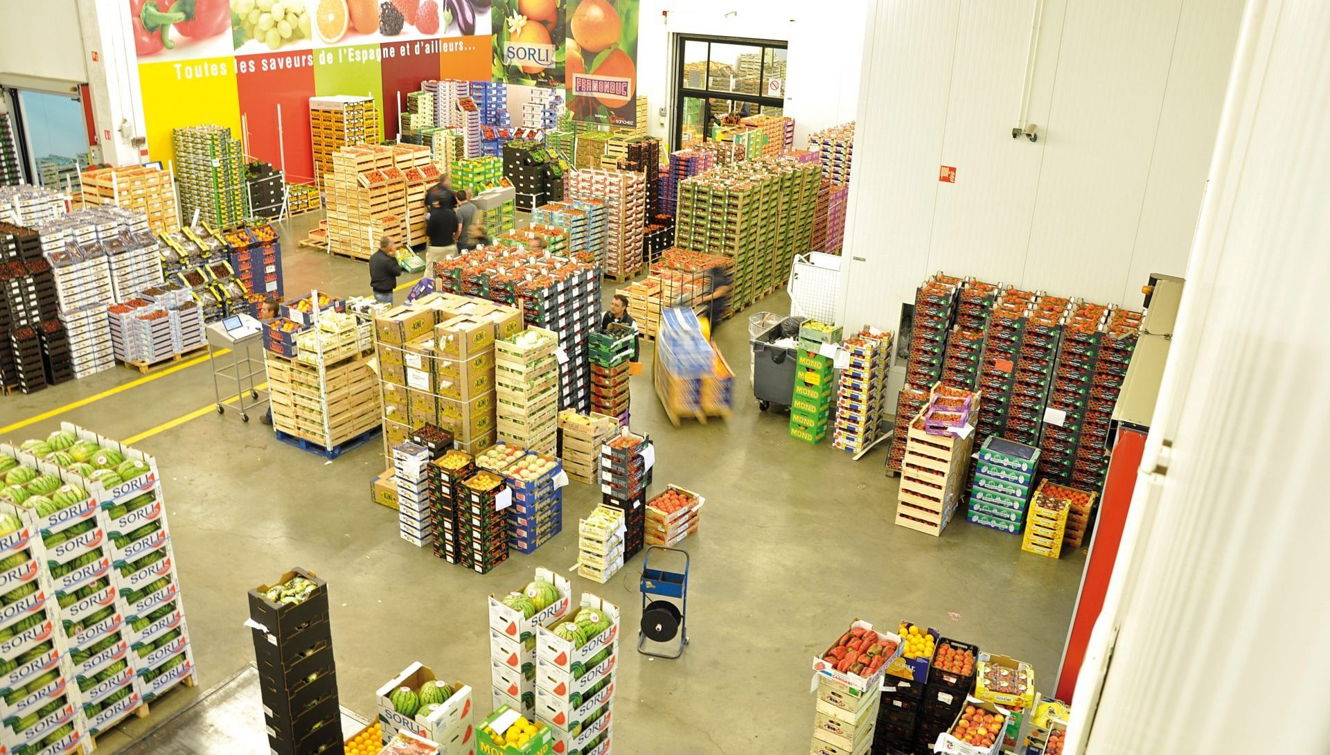 Les grossistes • Filière des fruits et légumes frais